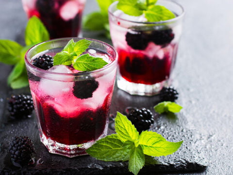 Blackberry Paloma - Baluarte Tequila